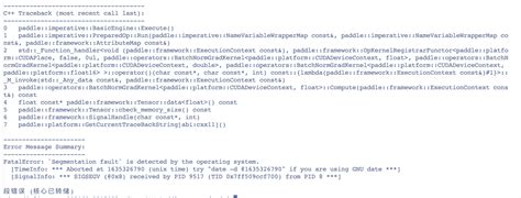【菁英计划】反向传播backword出现段错误 · issue 36785 · paddlepaddle paddle · github