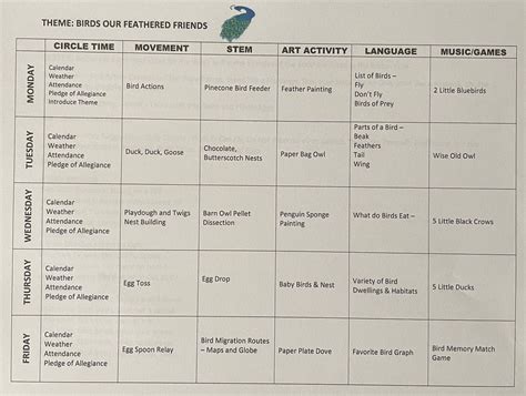 Lesson Plan Birds Etsy