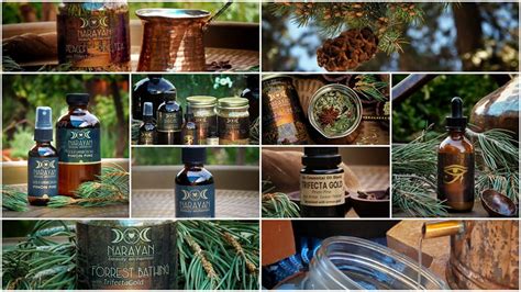 20 Off The Pinon Pine Protocol The Pinon Pine Protocol