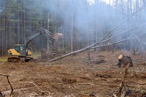 굴삭기 작업자의 도움으로 숲에서 나무를 제거하여 집을 위한 공간을 만들고 있습니다 가정 생활에 대한 스톡 사진 및 기타 이미지 가정 생활 개발 건설 현장 Istock