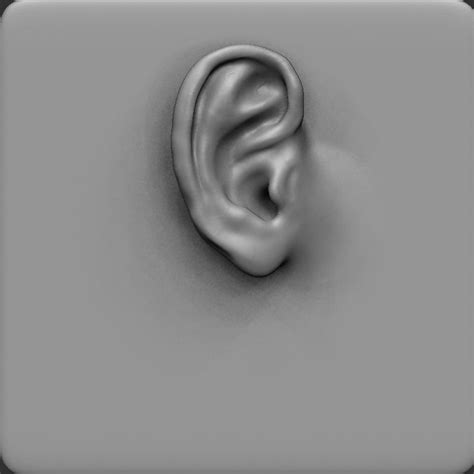 Looking To Get More Into Character Modeling Though I Know Nothing About Anatomy Looking To