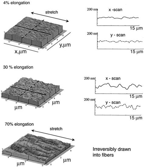Afm Interaction Force Versus Distance Curve Showing A Tip Far From