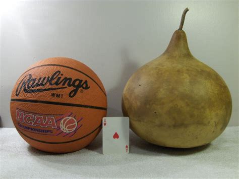 34 Dried Kettle Gourd Halloween Decoration