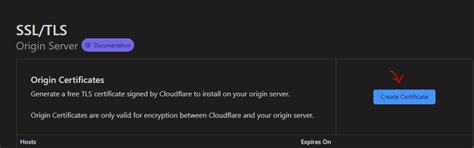 How To Combine Nginx Proxy Manager With Cloudflare To Access Your