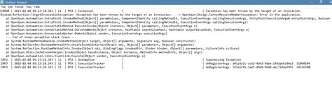Run Exception Invoking Method Error In The Application Support Center