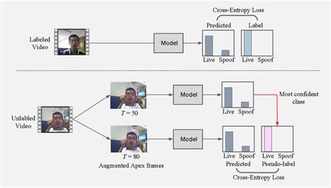 A Schematic Diagram Of Our Proposed Semi Supervised Learning Download Scientific Diagram