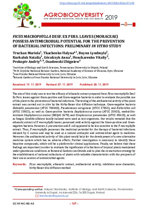 Pdf Ficus Macrophylla Desf Ex Pers Leaves Moraceae Possess Antimicrobial Potential For The