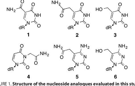 Figure 1 From Evaluation Of Anti Hiv 1 Mutagenic Nucleoside Analogues Semantic Scholar