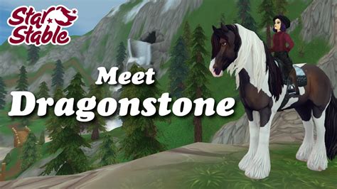 Meet Dragonstone Irish Cob Sso Youtube