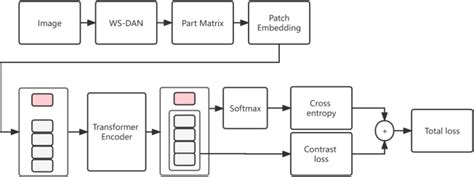 Figure 1 From Fine Grained Recognition Algorithm For Transformer Based On Part Features