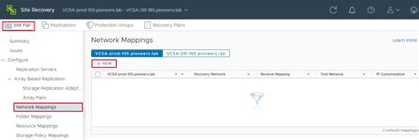 SRM Configure Network Mapping Network Pioneers