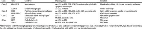 Sub Types Of Scavenger Receptor Their Cellular Expression Ligands