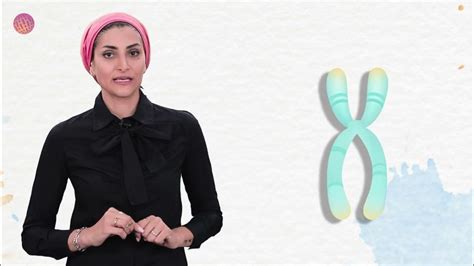 Non Coding Regions Of Dna Youtube