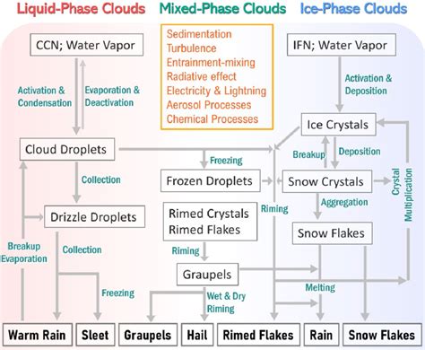 Illustration Of Main Microphysical Processes The Processes In The