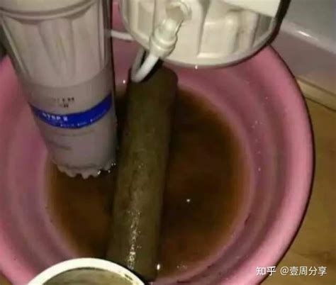 净水器的滤芯有必要更换吗？老师傅告诉你真相 知乎