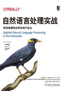 自然语言处理实战预训练模型应用及其产品化最新章节全文无弹窗在线阅读 QQ阅读中文武侠网