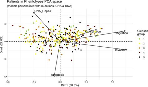 Patient Specific Boolean Models Of Signalling Networks Guide Personalised Treatments Elife