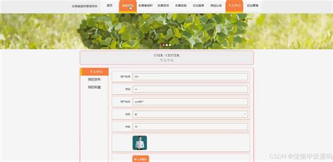 springboot毕设 志愿者服务管理系统 程序 论文 csdn博客