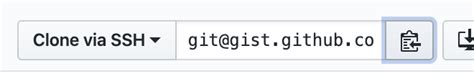 How To Install A Wordpress Plugin From A Gist · Github