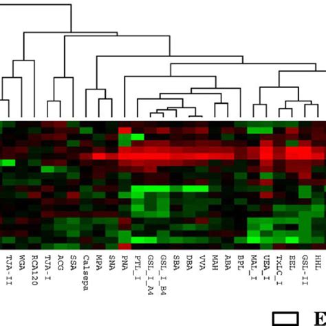 unsupervised hierarchical clustering of ecscs and nescs ecscs n 9