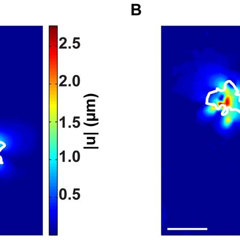 Displacement Gradient Comparison For Large Deformation X 1 { X 2 And X Download Scientific