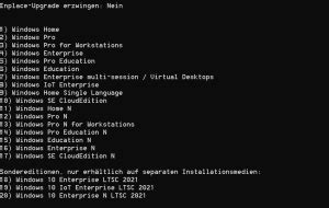 New Script Inplace Upgrade Helper Lets You Quickly Switch Windows Edition