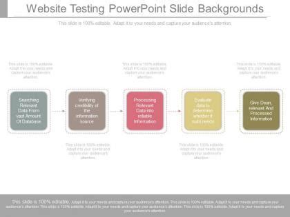 Website Testing PowerPoint Presentation And Slides SlideTeam
