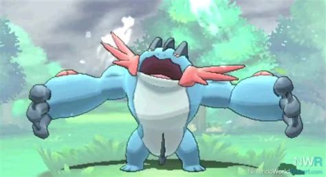 Torchic Treecko Et Mudkip Je Vous Choisis Dossier Nintendo World Report Bend