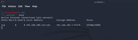 How To Check Active Connections In Kali Linux Tech Hyme