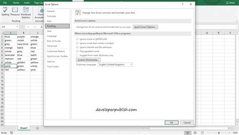 How To Use Spell Check In Microsoft Excel Developer Publish