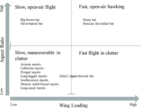 The Relationship Of Wing Loading To Aspect Ratio Correlates To The