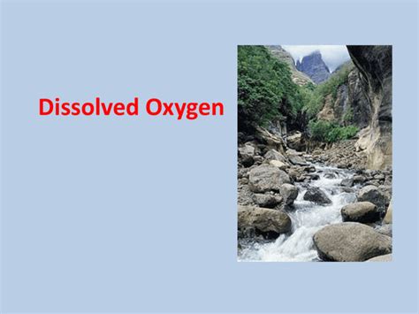 Dissolved Oxygen