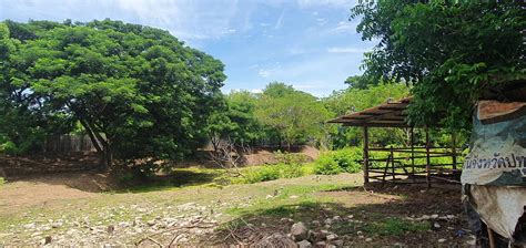 ขายที่ดิน สามโคก ปทุมธานี เนื้อที่ 13 ไร่ เจ้าของขายเอง Ennxo