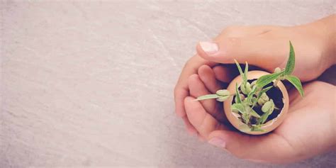 Corporate Social Responsibility Auriga Outsourcing Software Development