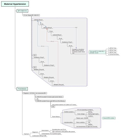 Hypertension In Pregnancy HoldingOrders Com