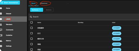 Is There Any Example For Auto Labeling Sequence Labeling About Span And Relation · Issue