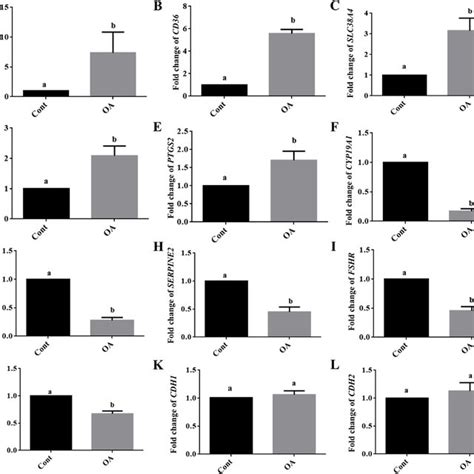 Microarray Data Validation By Real Time Rt Pcr The Abundance Of
