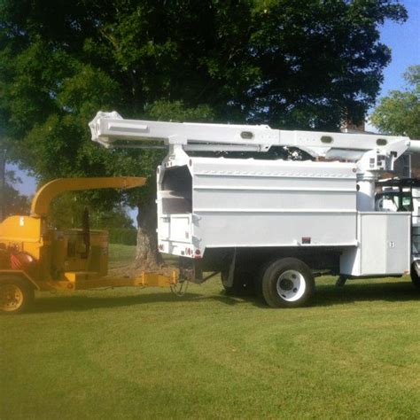 Tree Removal Franklin Tree Service