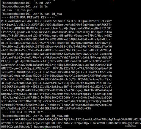Hadoop三机集群实现免密登录执行命令生成公钥、私钥实现三台机器间的免秘登陆 Csdn博客
