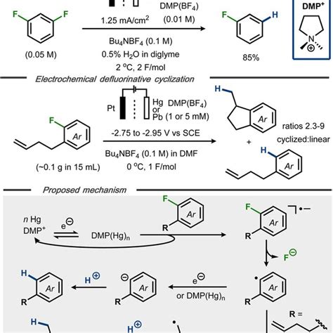 Top Selective Monodefluorination Of 13 Difluorobenzene 25 Middle