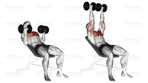 Dumbbell Incline Palm In Press Exercise Guide Video Techniques