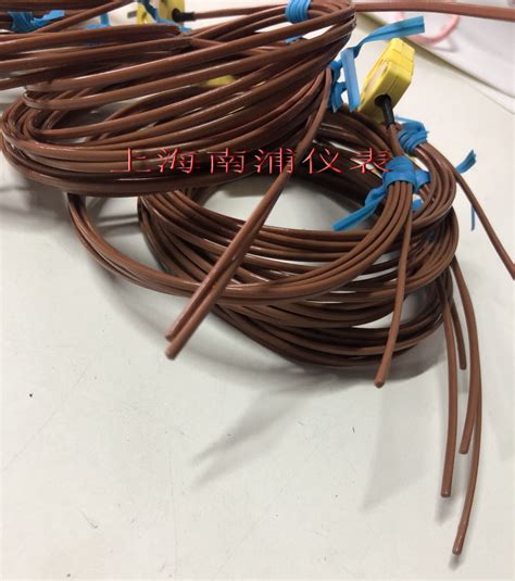 干热灭菌热电偶 上海南浦仪表厂