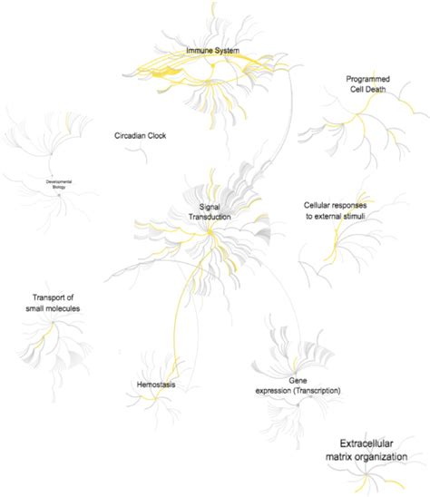 Overrepresentation Analysis Humans Reactome Download Scientific Diagram