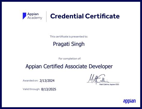 Appian Appiandeveloper Lowcode Lowcodenocode Developer Netlink
