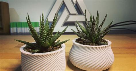 Vases For Ikea Haworthia Universe Plant By Primocenturio Download Free Stl Model