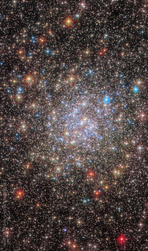 Globular Star Cluster Ngc 6355 From Hubble Space Telescope Rspaceporn
