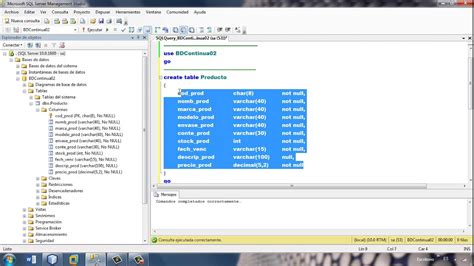 Conectar Base De Datos A Netbeans Youtube
