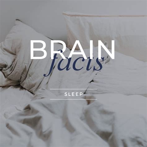 The Vital Connection Between Your Sleep Body And Brain OptoCeutics