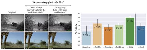 Diversify Your Vision Datasets With Automatic Diffusion Based Augmentation