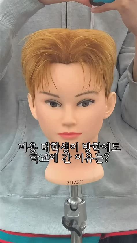 은준 디스커넥션을 횔용한 리프컷 스타일디스커넥션리프컷세미리프컷 오늘은 디스커넥션을 활용한 리프컷 스타일 입니다 레이어와 그래듀에이션 테크닉을 활용하여 슬림함과